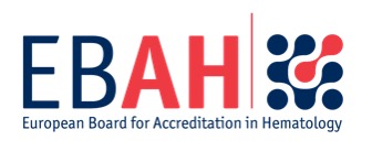 EBAH Logo